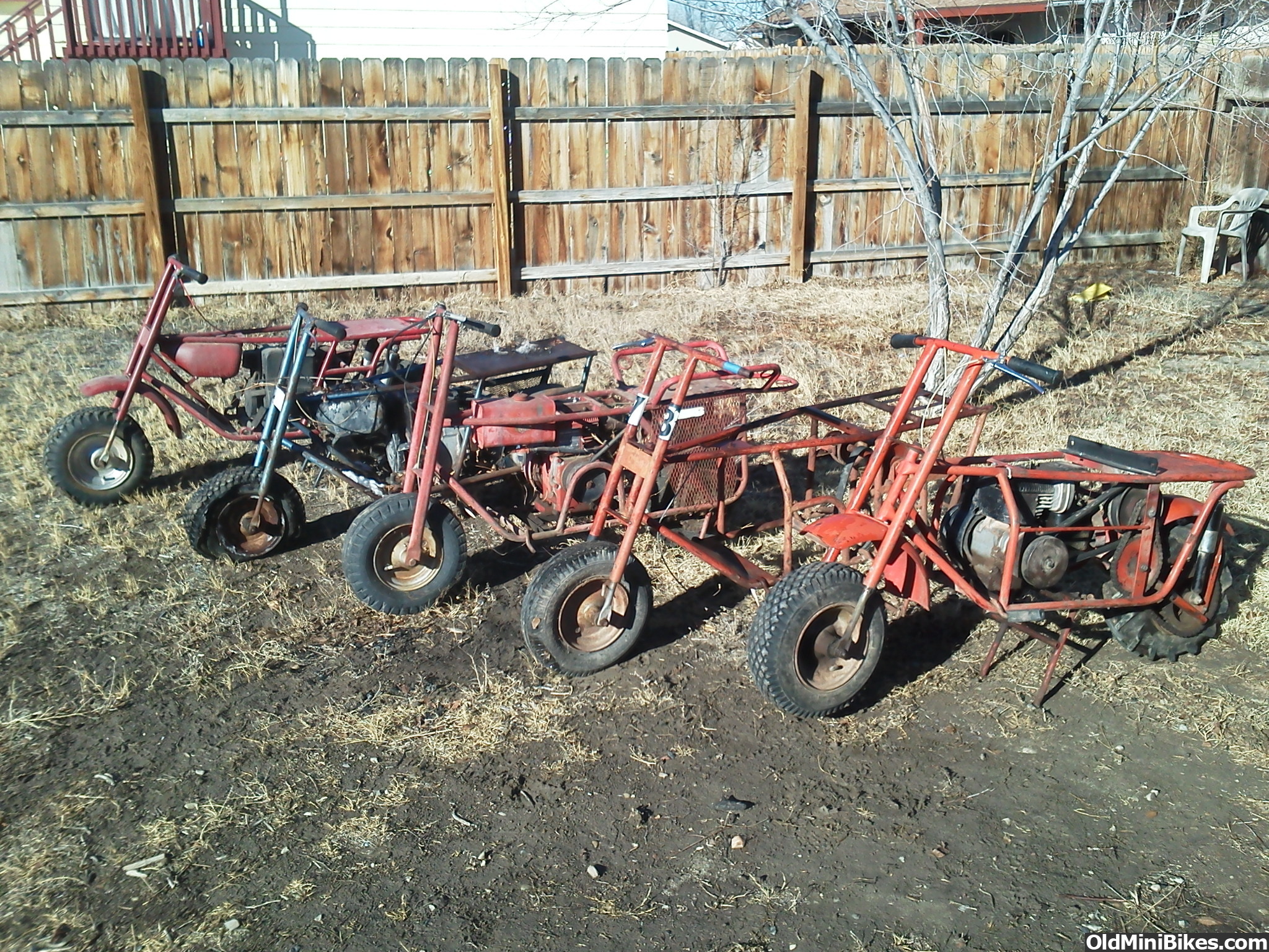 Mini Bike Collection Photos | OldMiniBikes.com