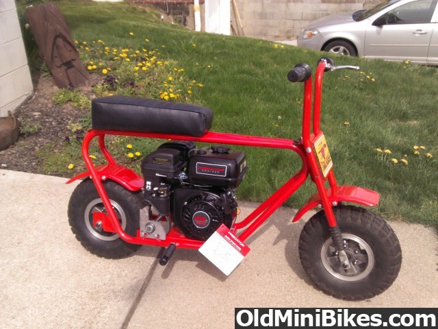 Pictures of my Golden Pinto and Trailhorse. | OldMiniBikes.com