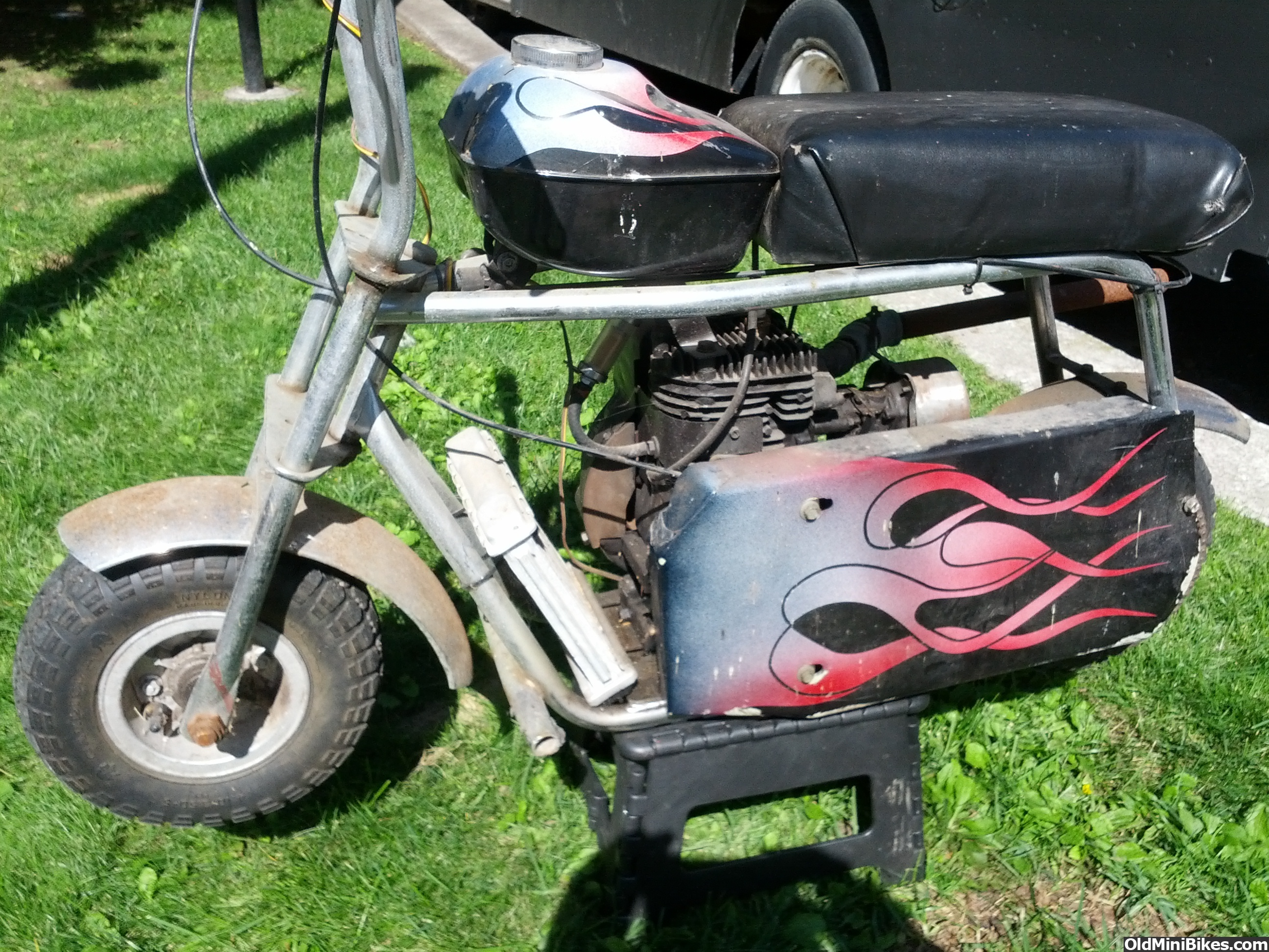 Chrome Toad | OldMiniBikes.com