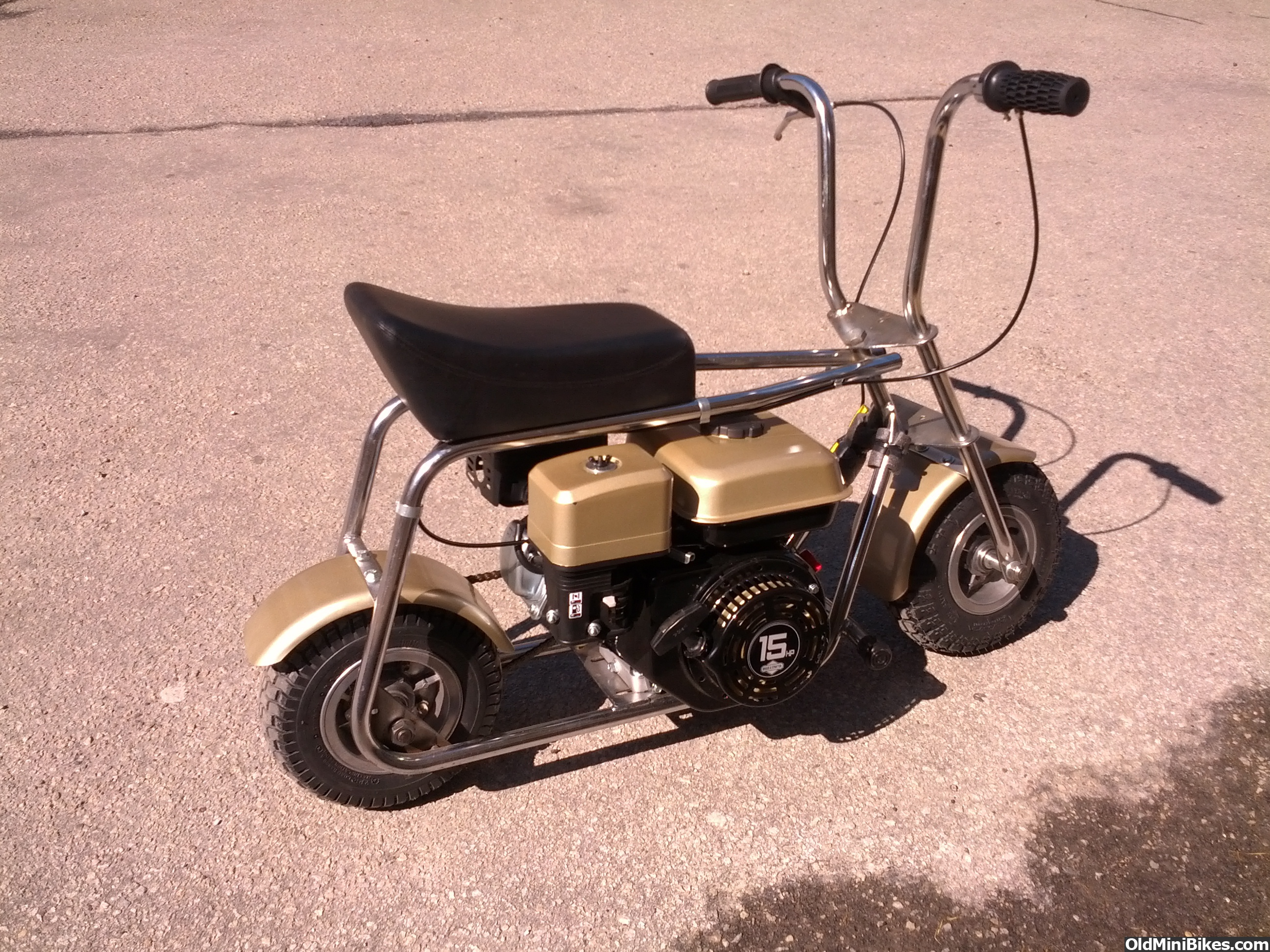 Ruttman chrome gt250 | OldMiniBikes.com