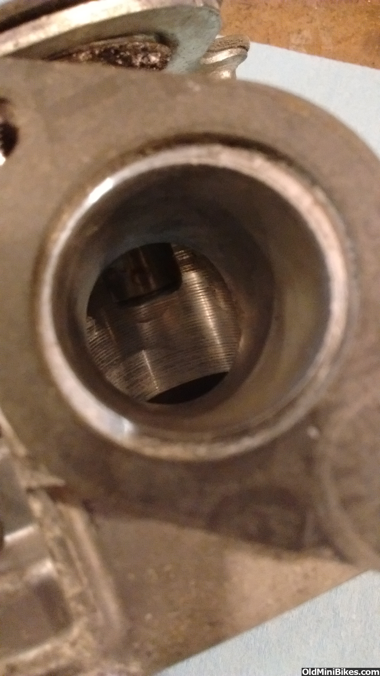 Briggs animal build | Page 2 | OldMiniBikes.com