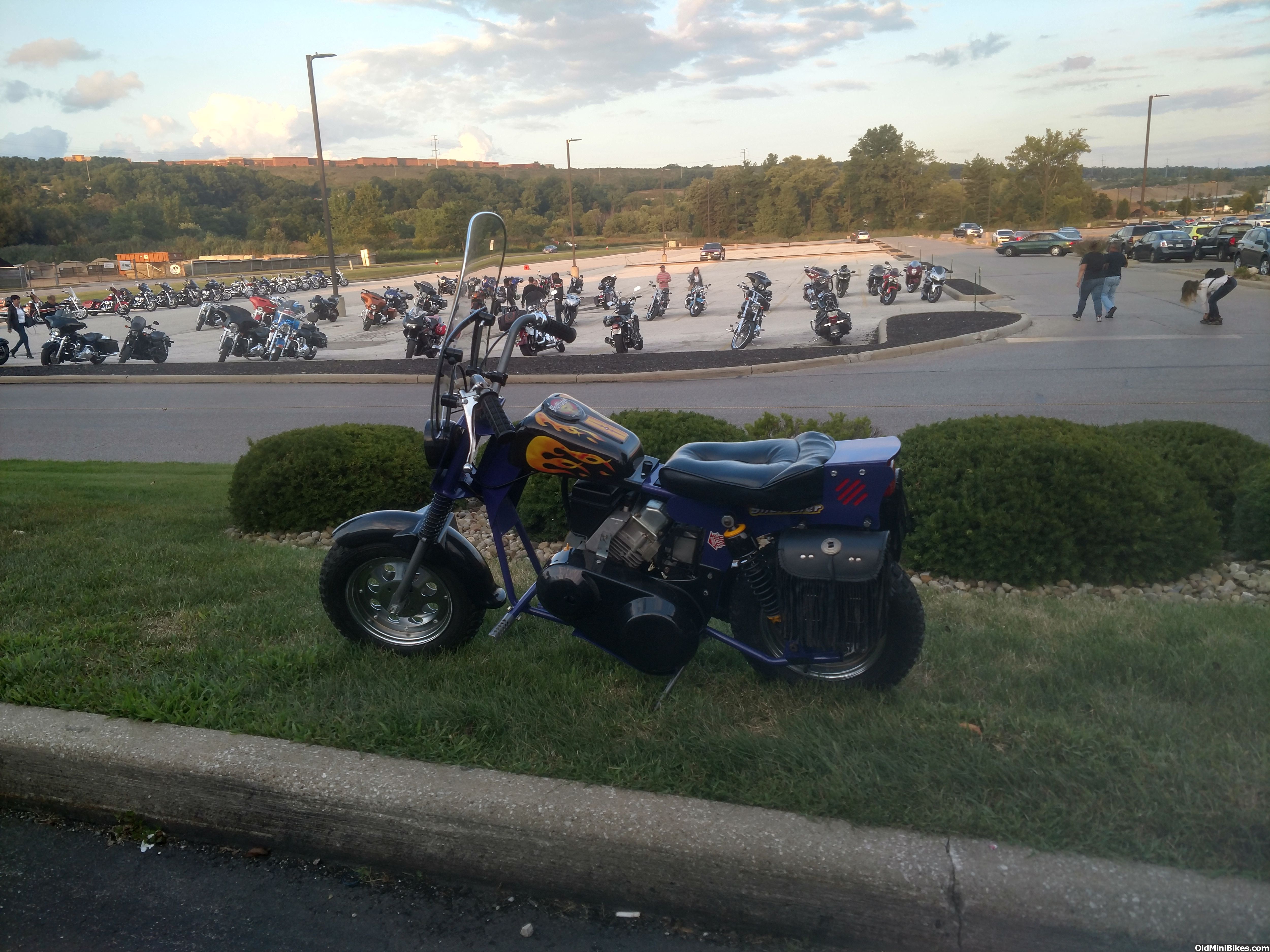 One of the Most Hated Minis......... | Page 2 | OldMiniBikes.com