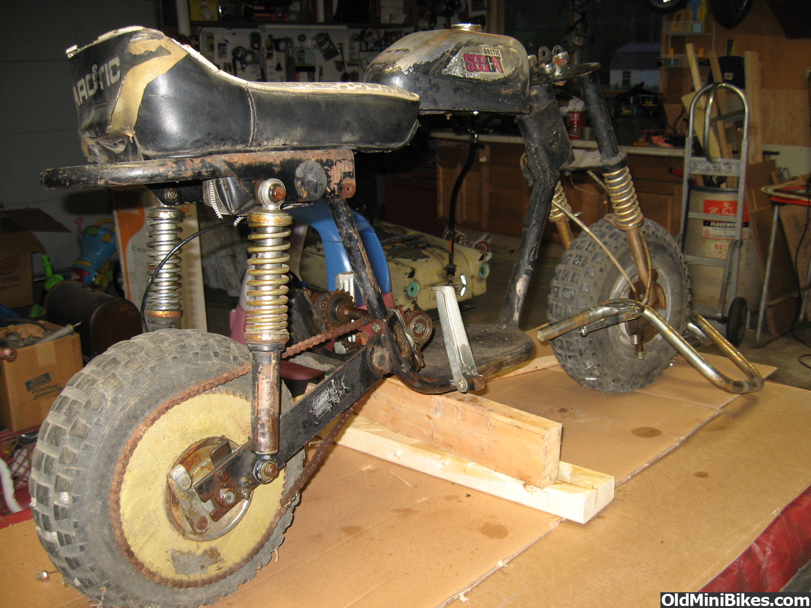 ssscat II info needed | OldMiniBikes.com