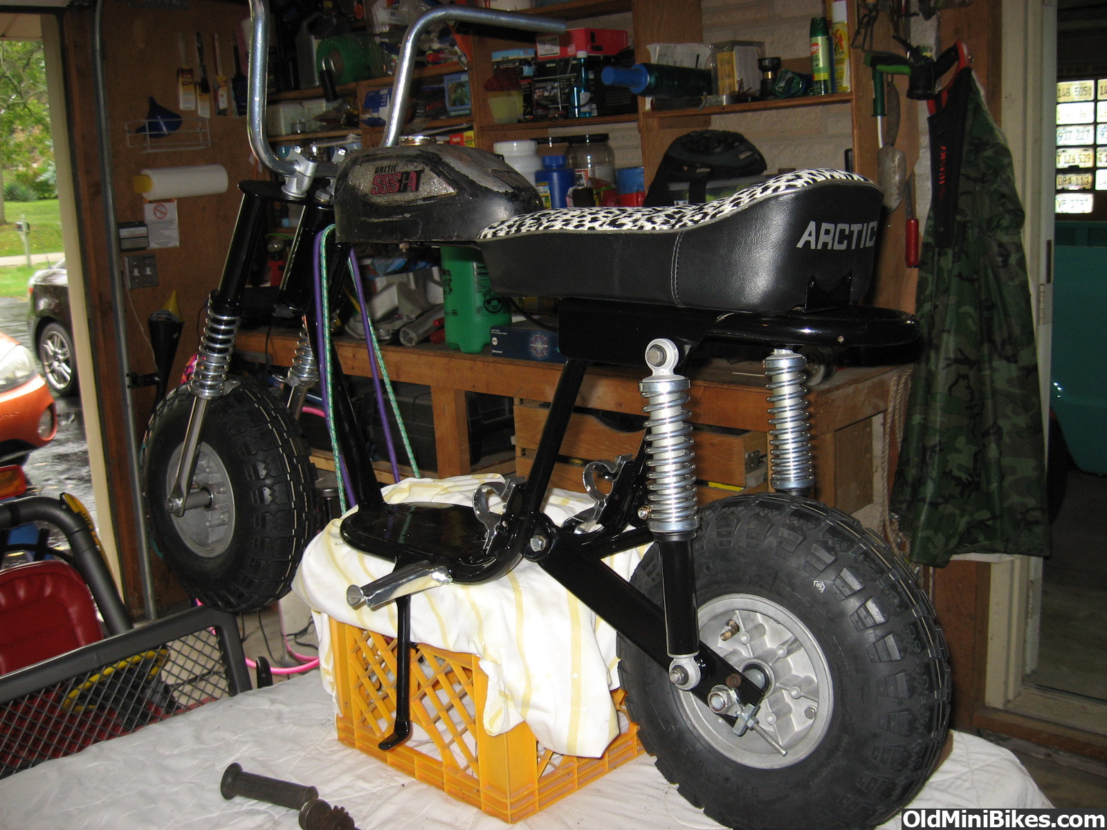 ssscat II info needed | OldMiniBikes.com
