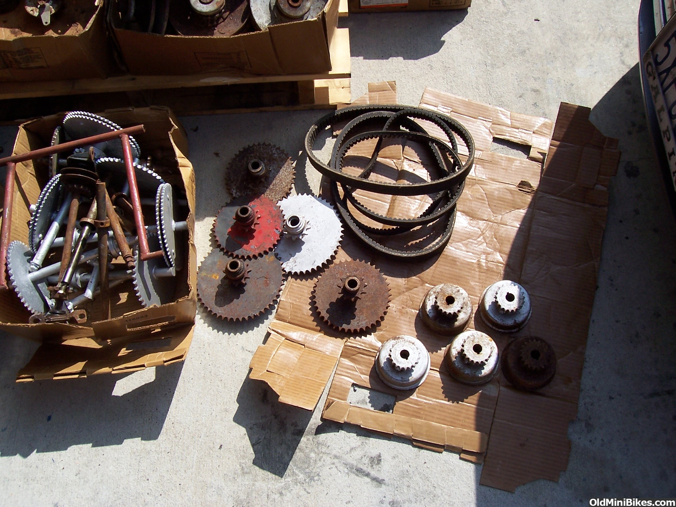 Pac jack | OldMiniBikes.com