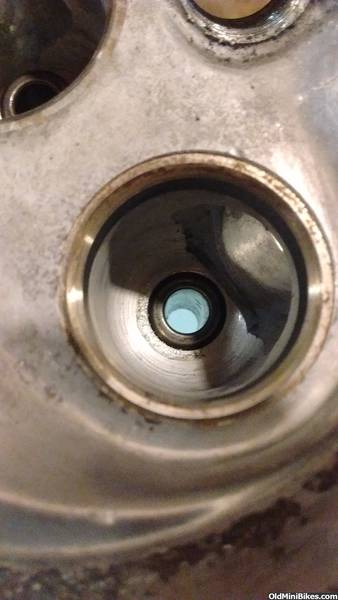 Briggs animal build | Page 2 | OldMiniBikes.com