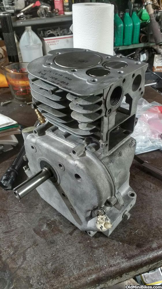 Briggs Raptor alcohol to gas conversion question | Page 2 ...