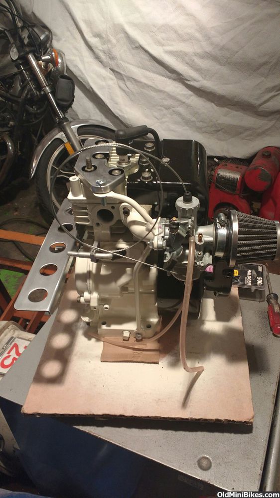 Briggs Raptor alcohol to gas conversion question | Page 3 ...