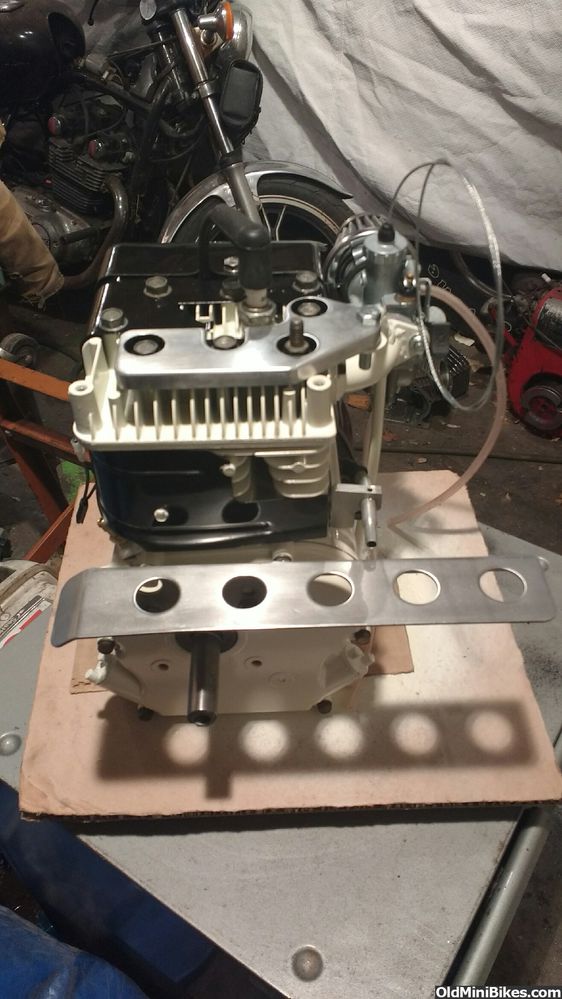 Briggs Raptor alcohol to gas conversion question | Page 3 ...