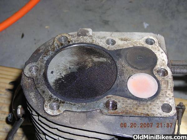 Whats the best way to ID your motor? | OldMiniBikes.com
