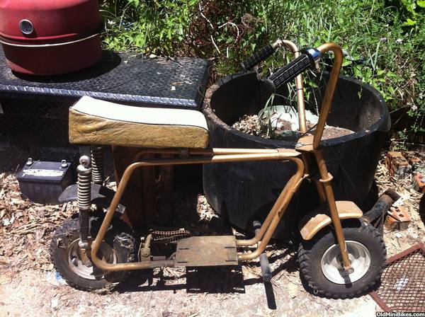 Is this a Golden Pinto Mini Bike by Penney's ? | OldMiniBikes.com