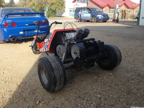 Alsport Tri sport | OldMiniBikes.com