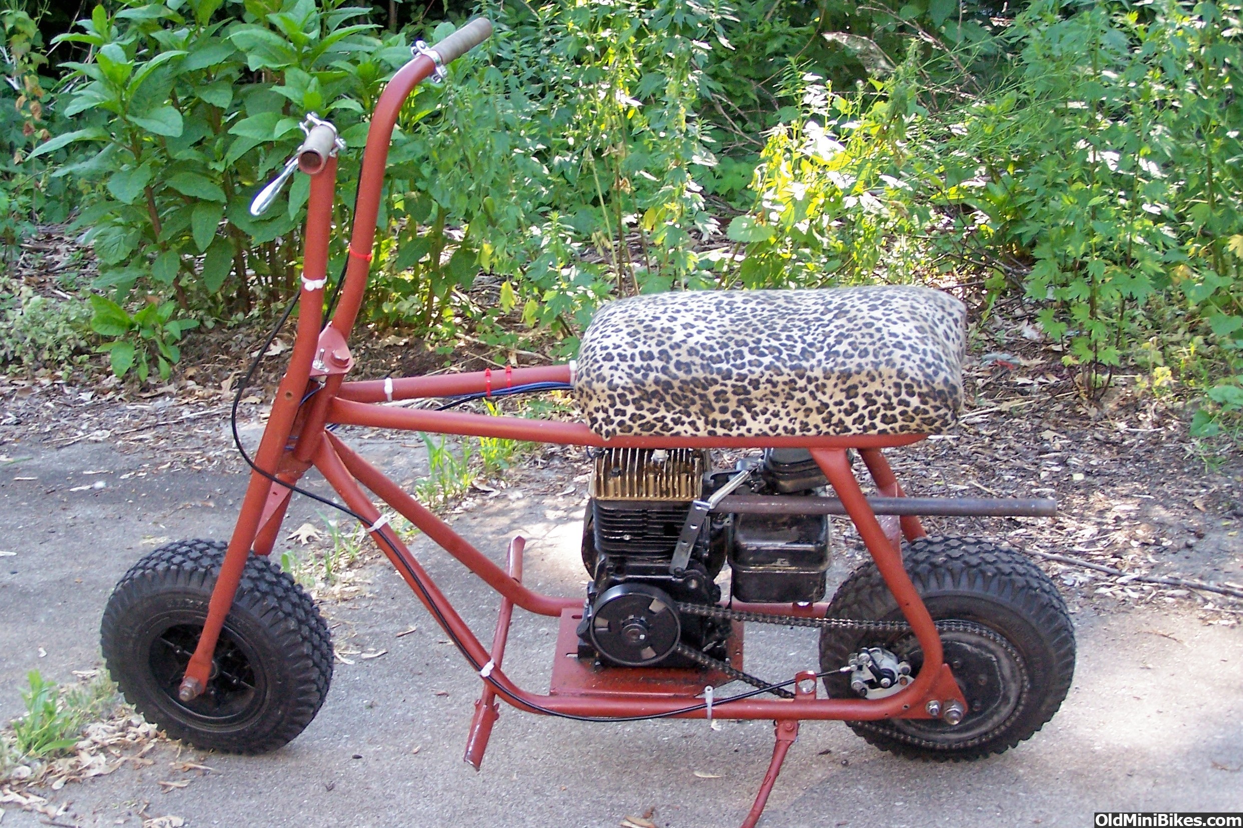 Can anyone help me identify my mini? | OldMiniBikes.com