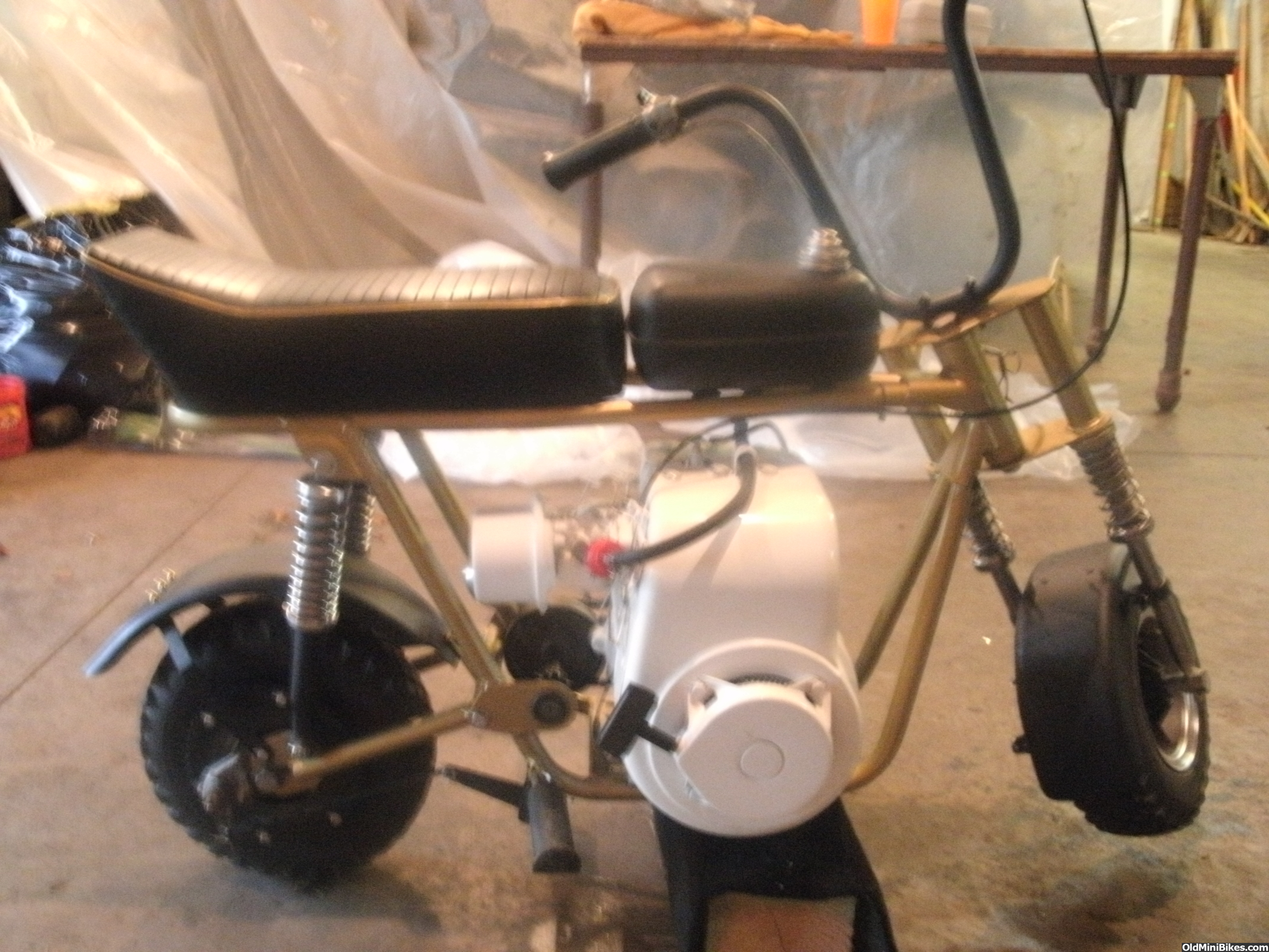 First ride on the TT | OldMiniBikes.com