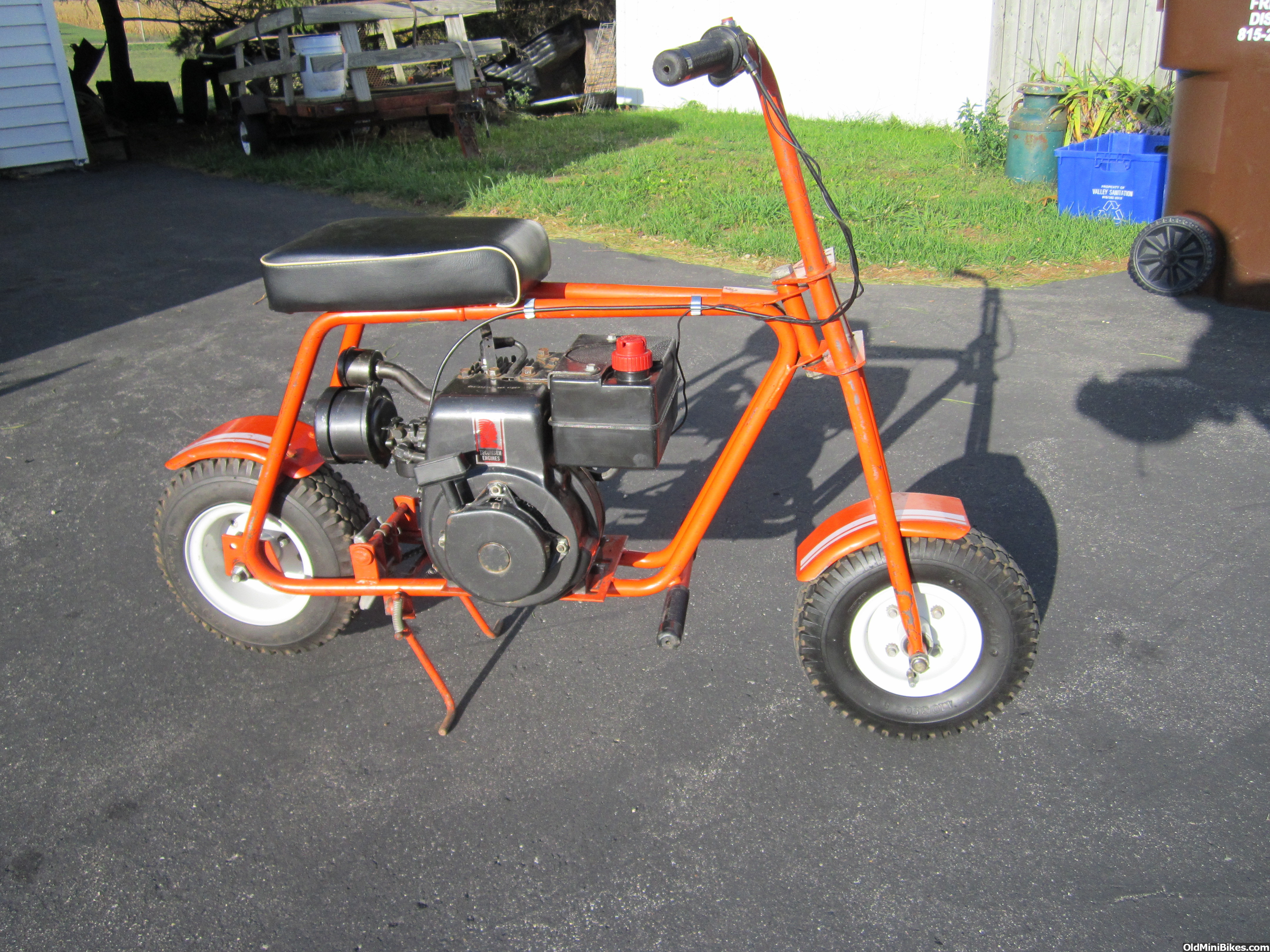 Golden Pinto? | OldMiniBikes.com