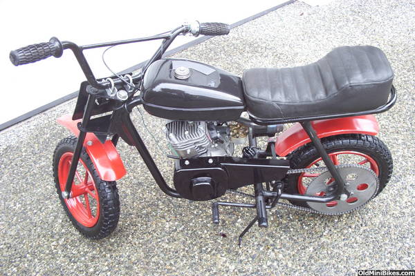 Bird "Behind" the barn find | OldMiniBikes.com