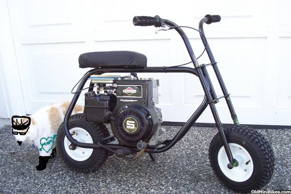 Cat mini bikes