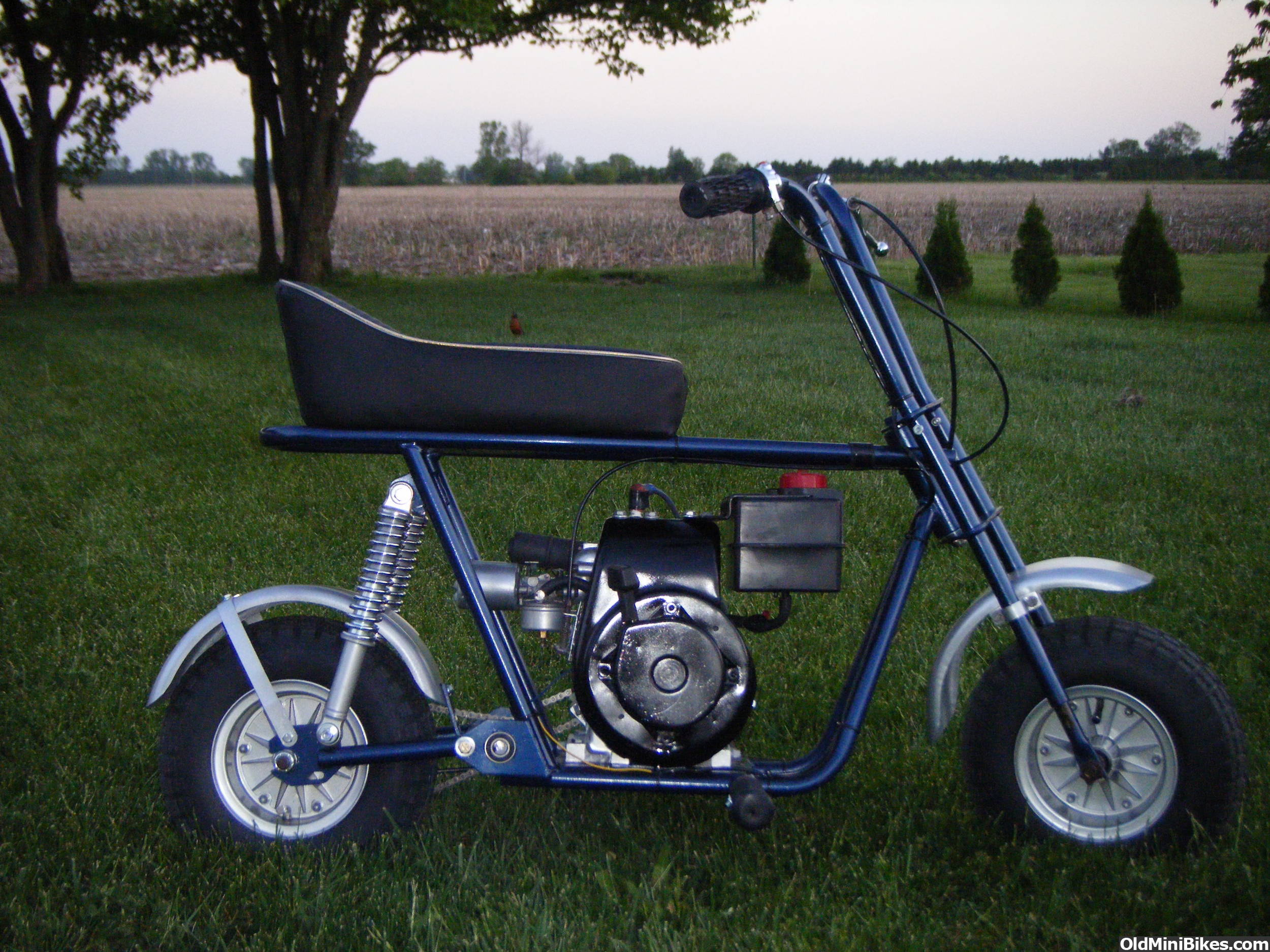 My first Mini Bike - Rupp Continental