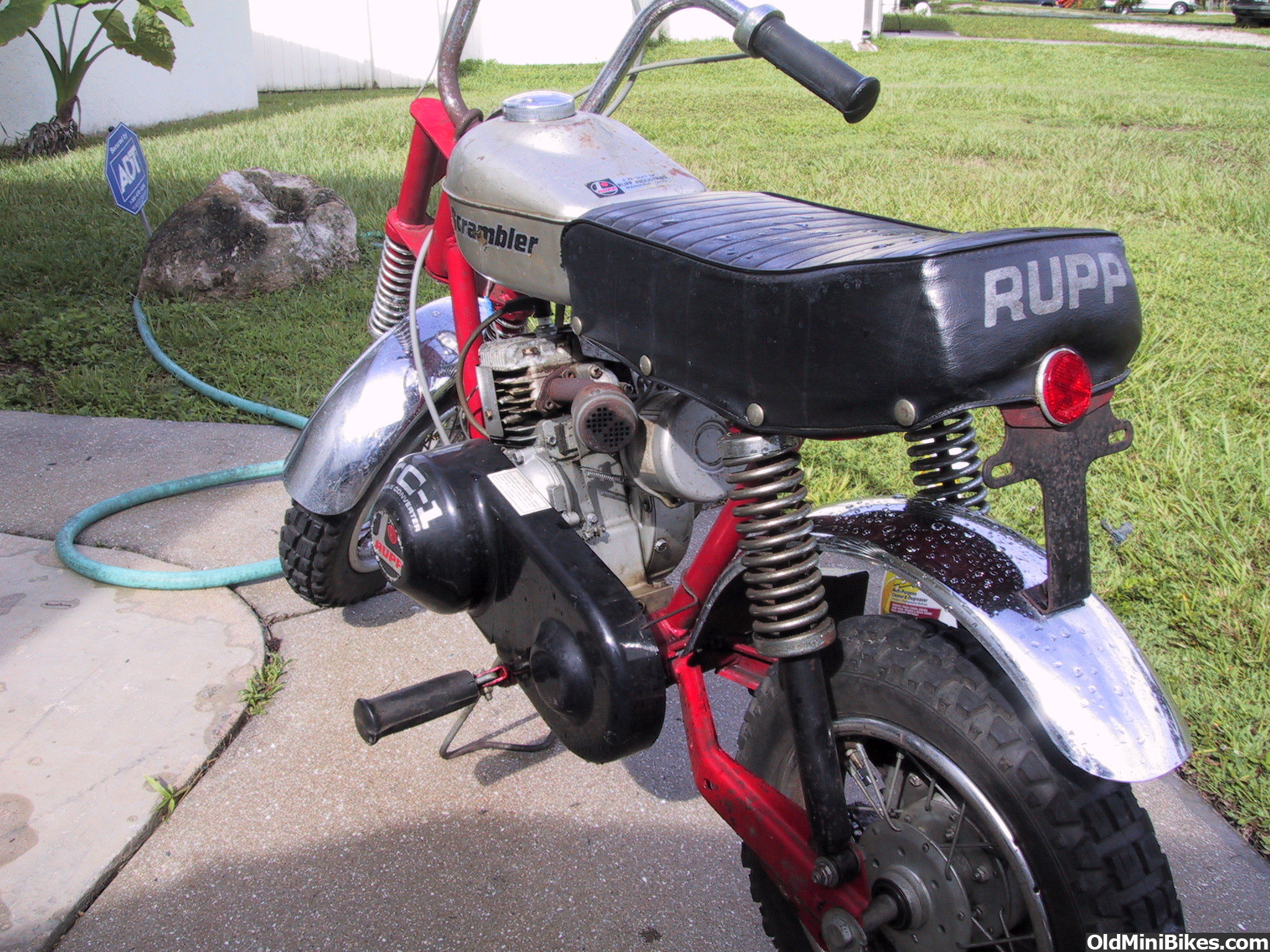 70 Rupp Scrambler questions | OldMiniBikes.com