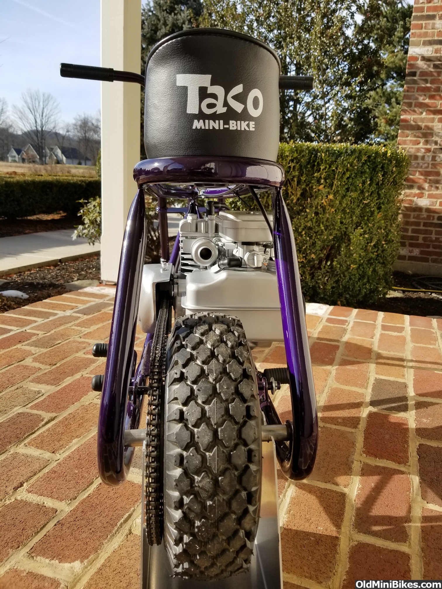Completed My Taco 22 Restoration | OldMiniBikes.com