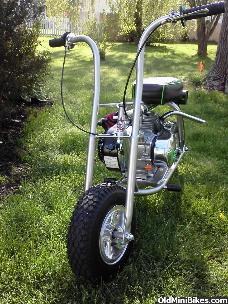 MONSTER TACO FRIJOLE,Open class | Page 11 | OldMiniBikes.com