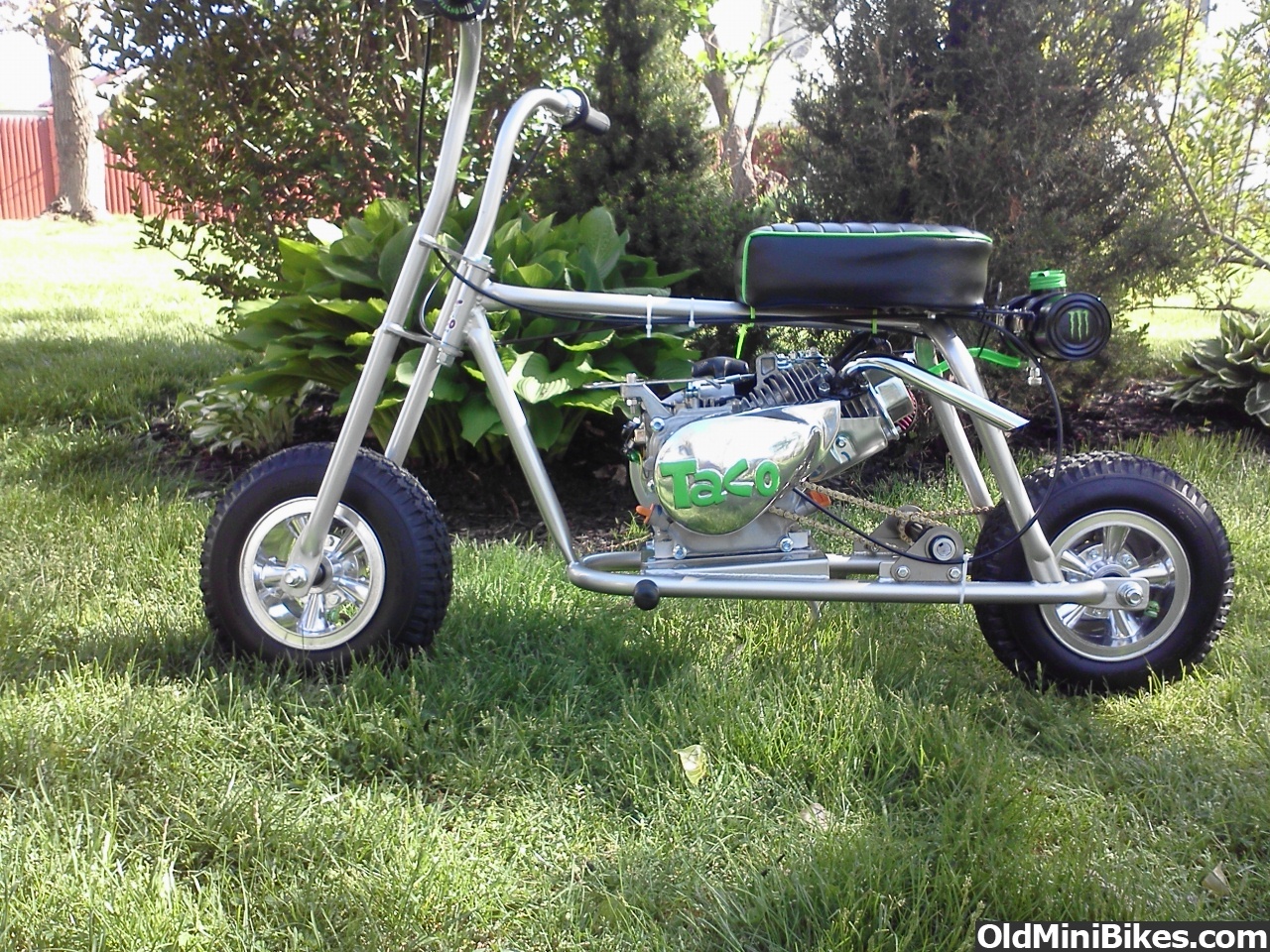 MONSTER TACO FRIJOLE,Open class | Page 11 | OldMiniBikes.com