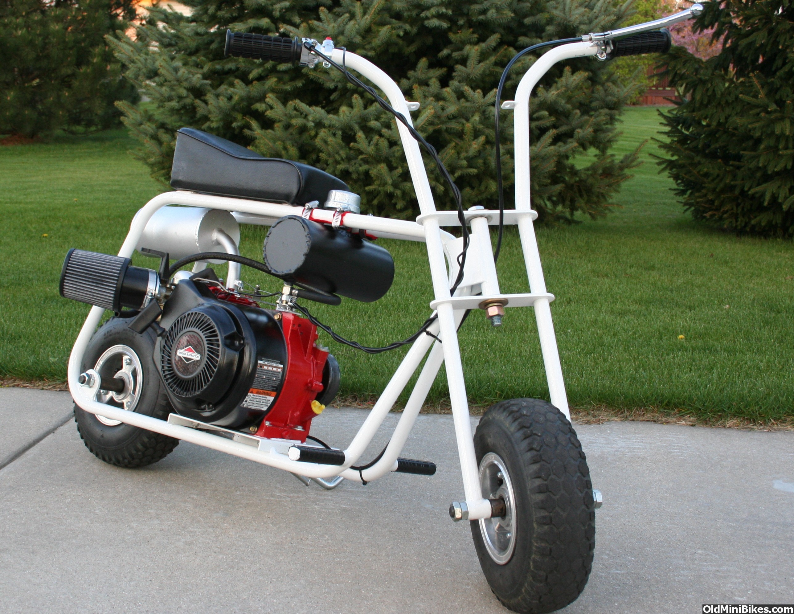 My First Build From Scratch | OldMiniBikes.com